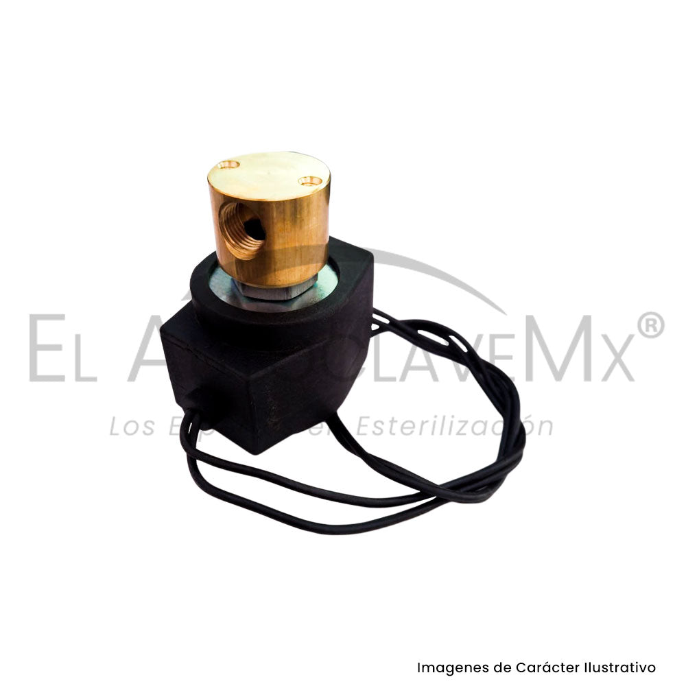 Válvula, Thermoval 06161 – elautoclavemx.com